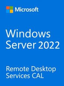 Buy Windows Server 2022 Remote Desktop Services 50 User CALs Microsoft ...